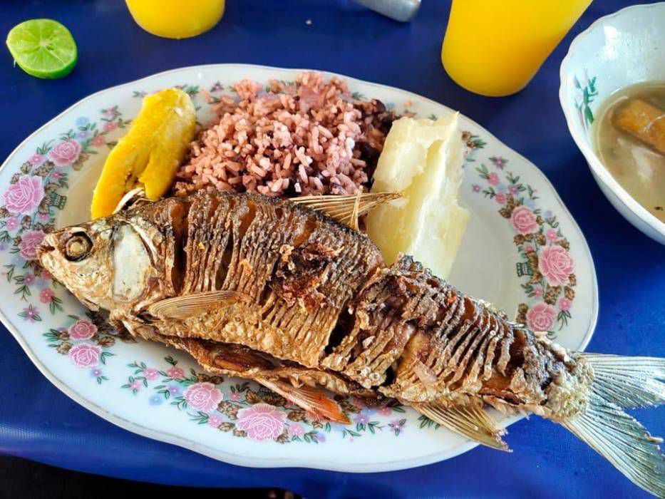 Festival del Bocachico en Magangué, el exquisito sabor de un evento con ...